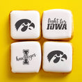 Hawkeyes Cookie Stencils| Iowa Cookie Stencils – Confection Couture ...