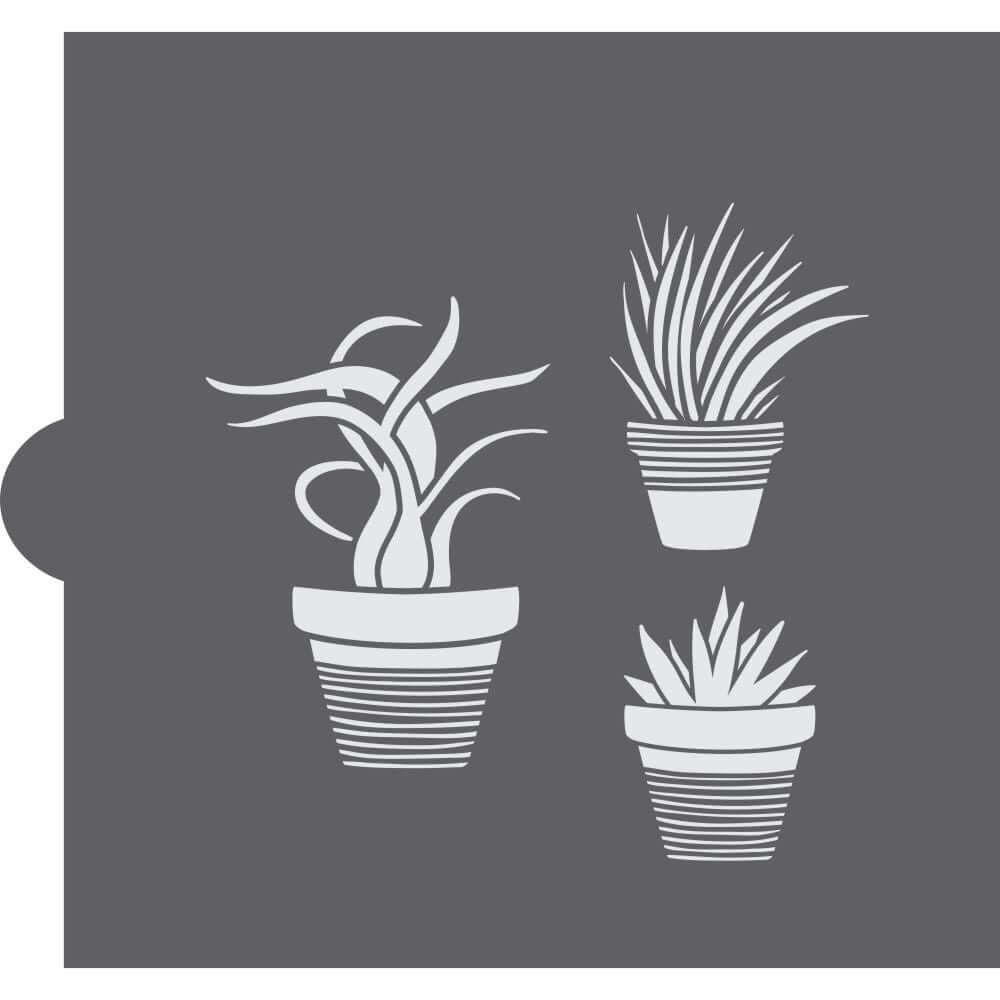 Potted Aloe Plant Stencil for Cookies – Confection Couture Stencils